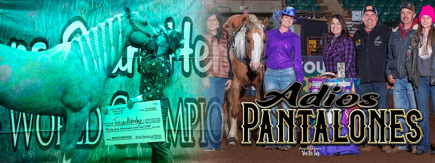 Adios Pantalones – Adios Pantalones